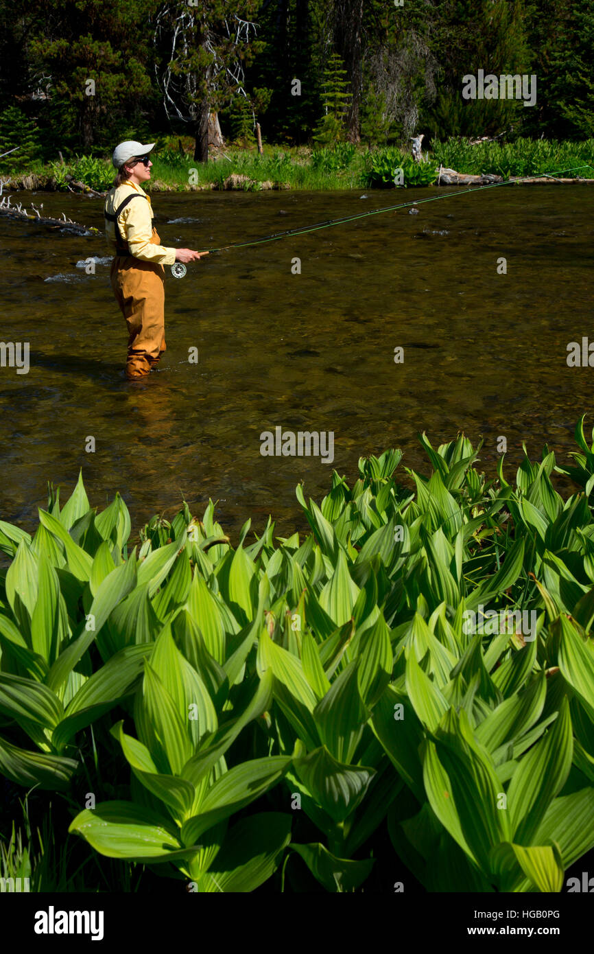 False river fishing hi-res stock photography and images - Alamy