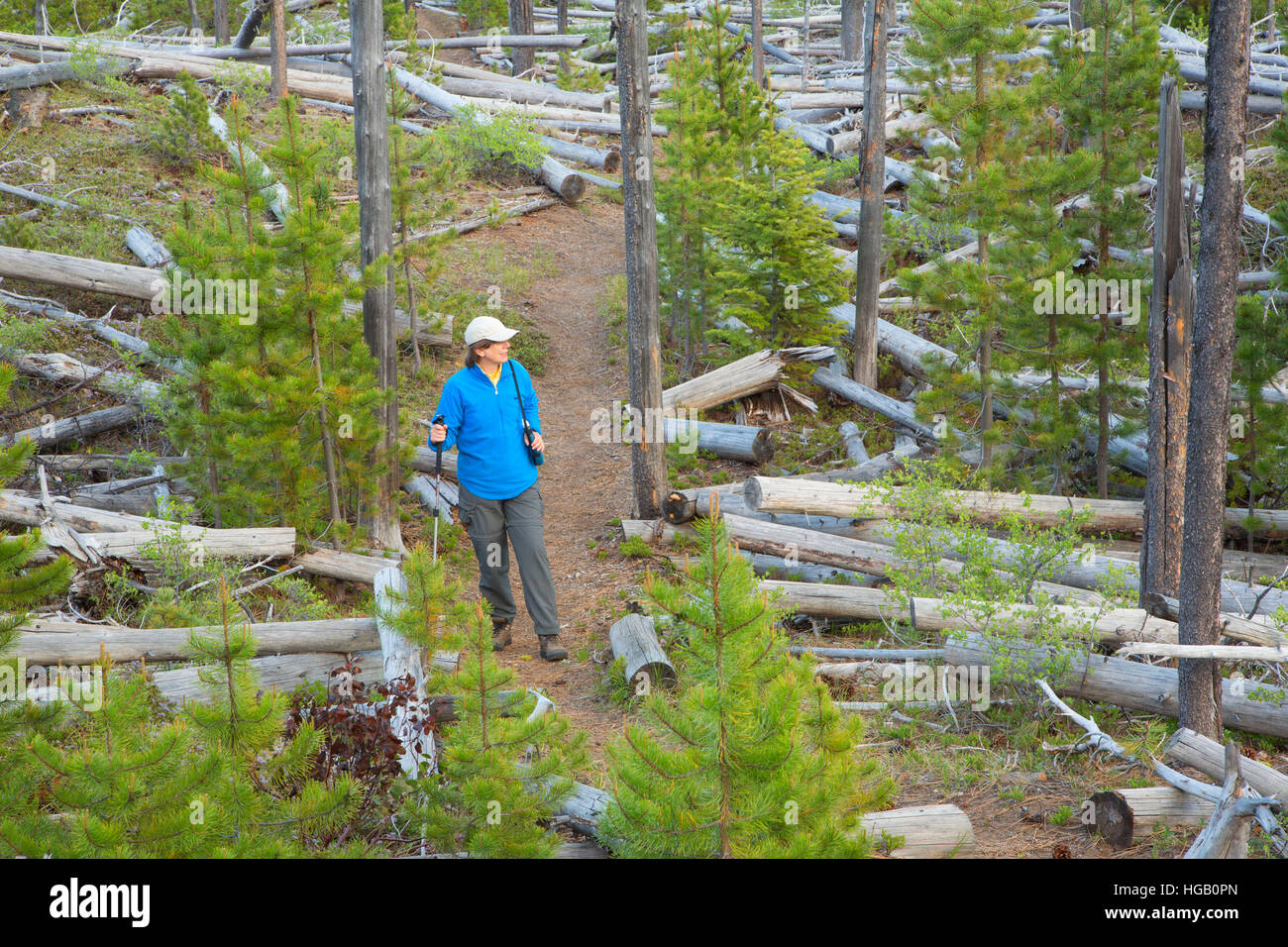 Metolius-Windigo Trail, Cascade Lakes National Scenic Byway, Deschutes ...