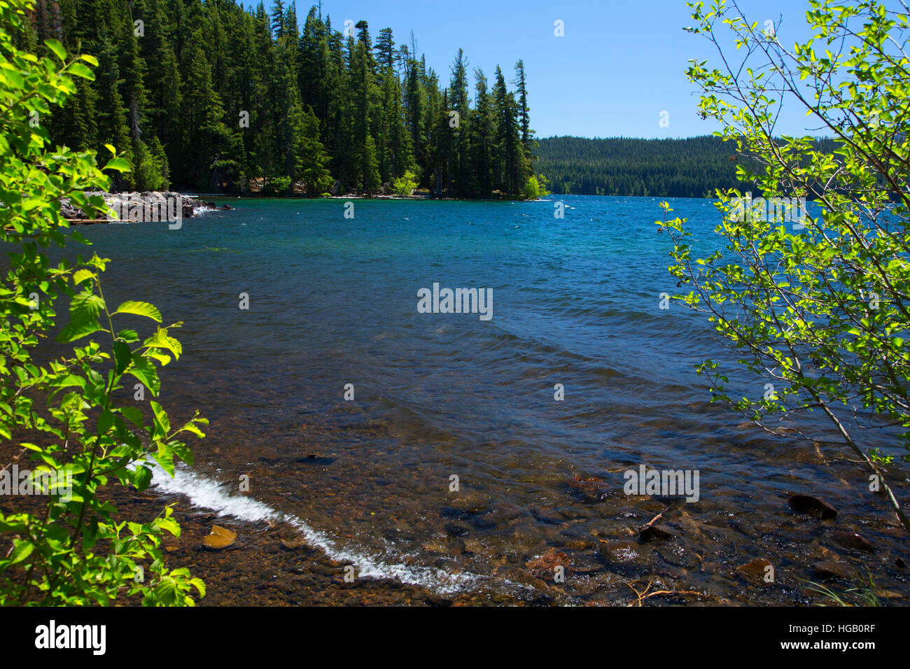 Odell Lake, Deschutes National Forest, Oregon Stock Photo - Alamy