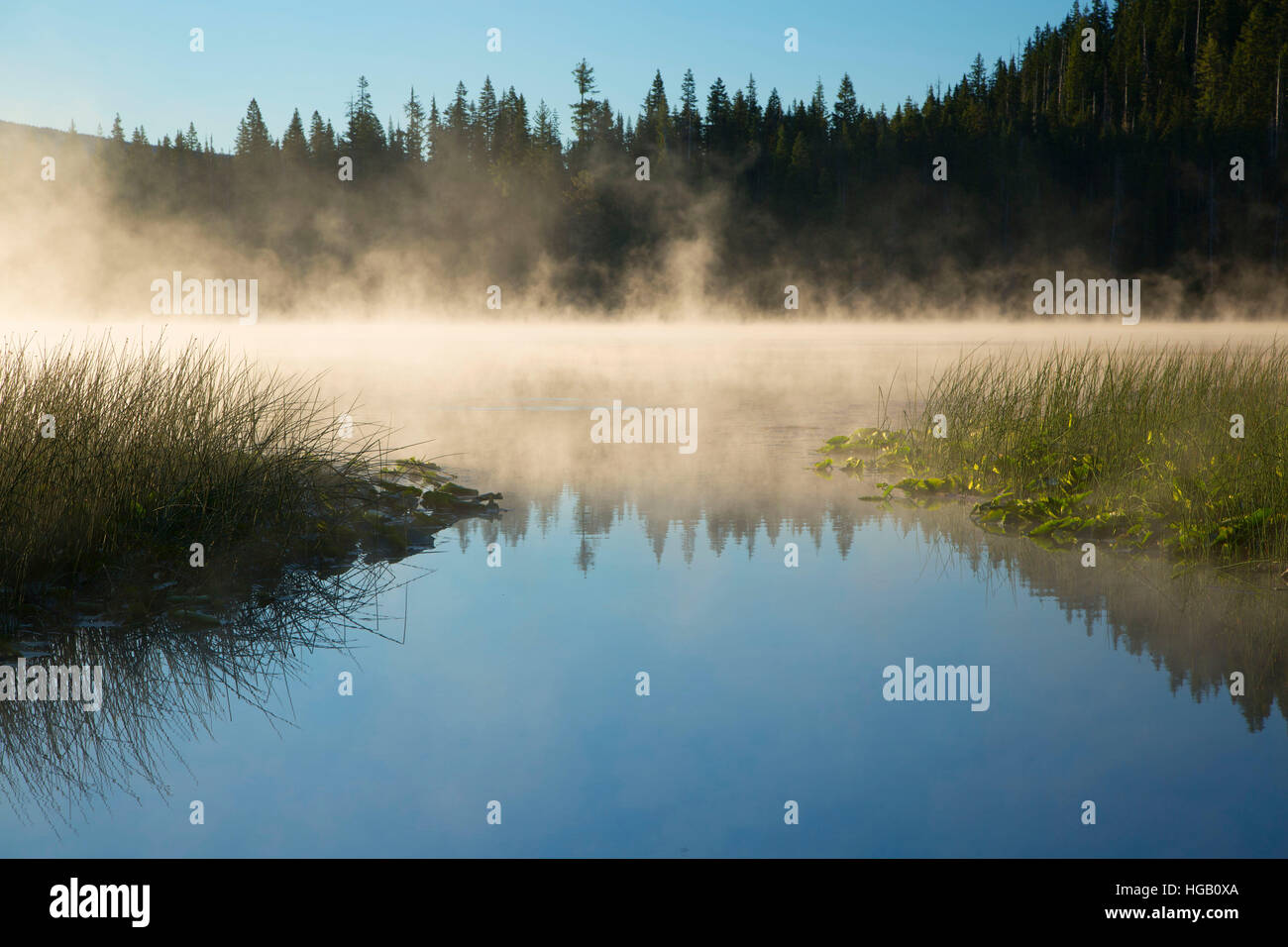 Mist on lakes hi-res stock photography and images - Alamy