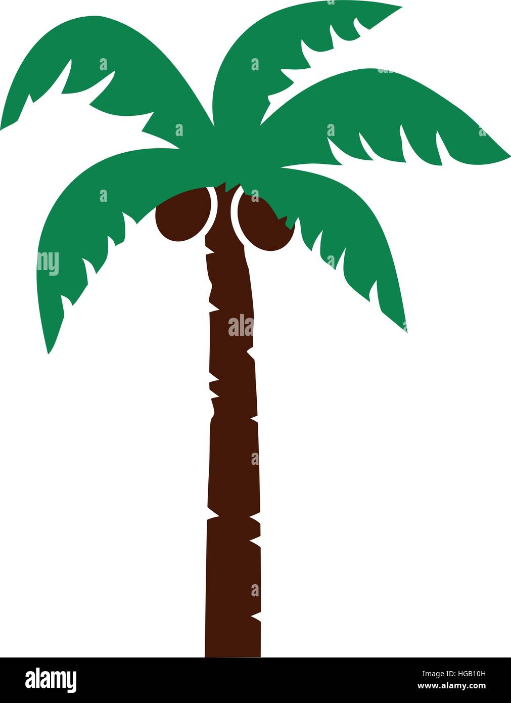 Palm coconuts Stock Vector Images - Alamy