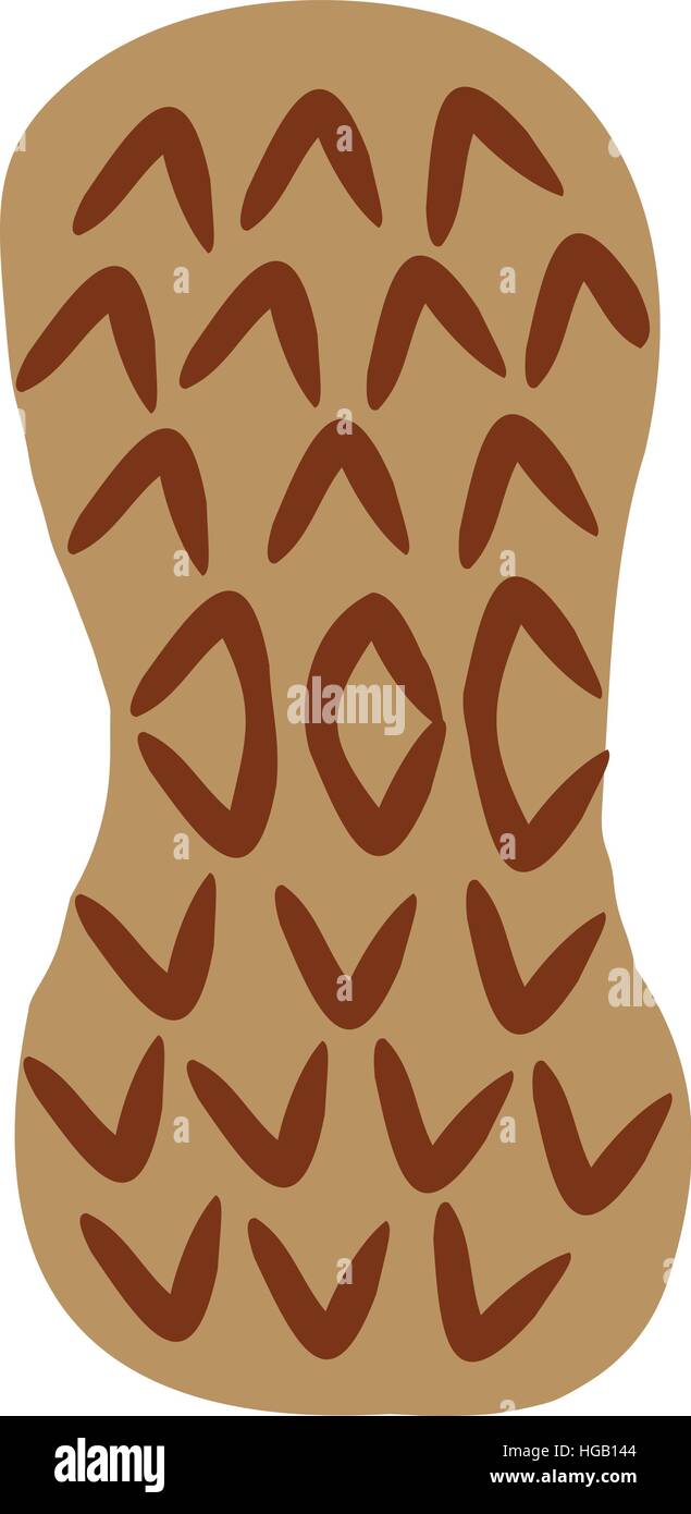 The peanut groundnut Stock Vector Images - Alamy