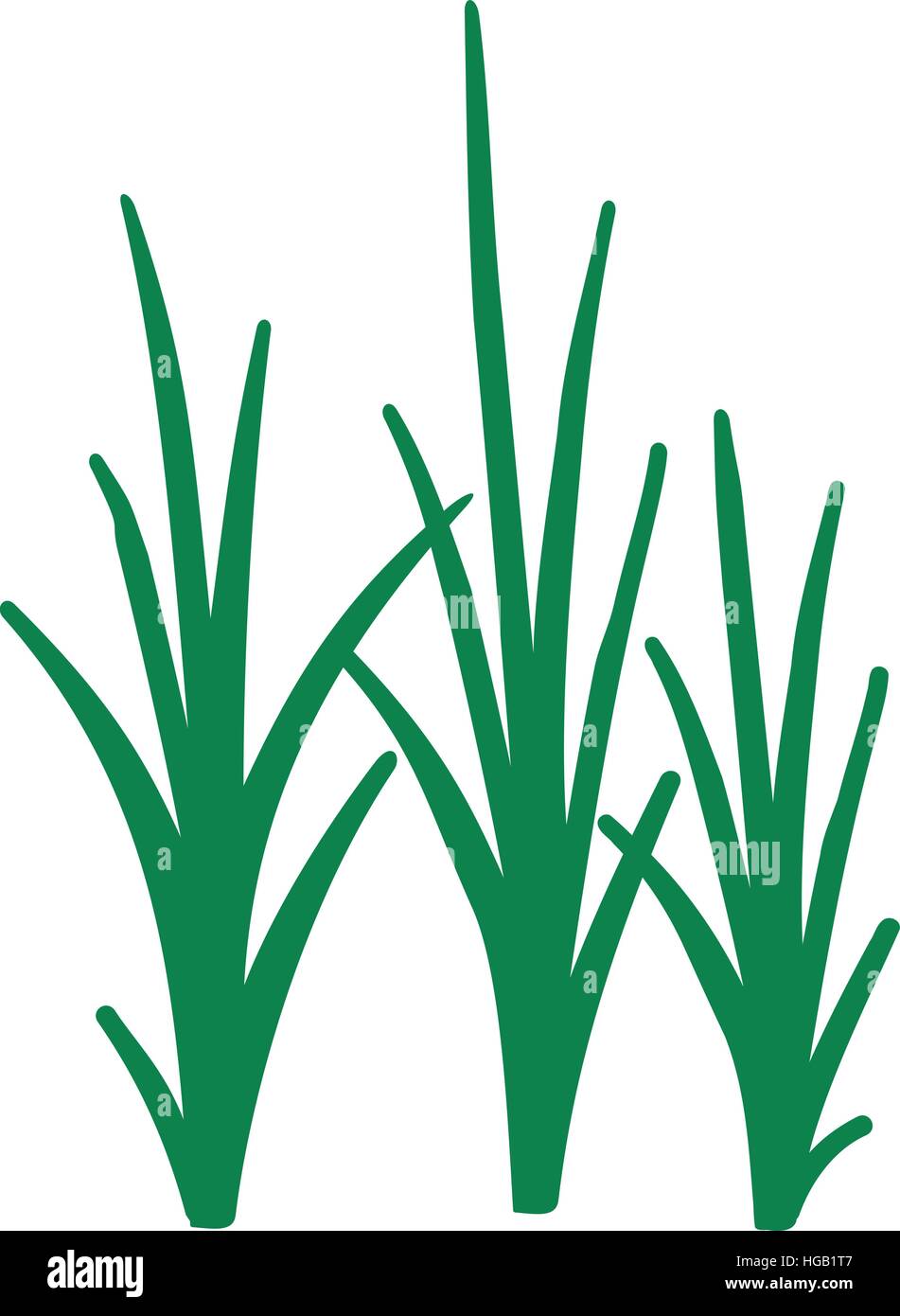 Reed icon Stock Vector Images - Alamy