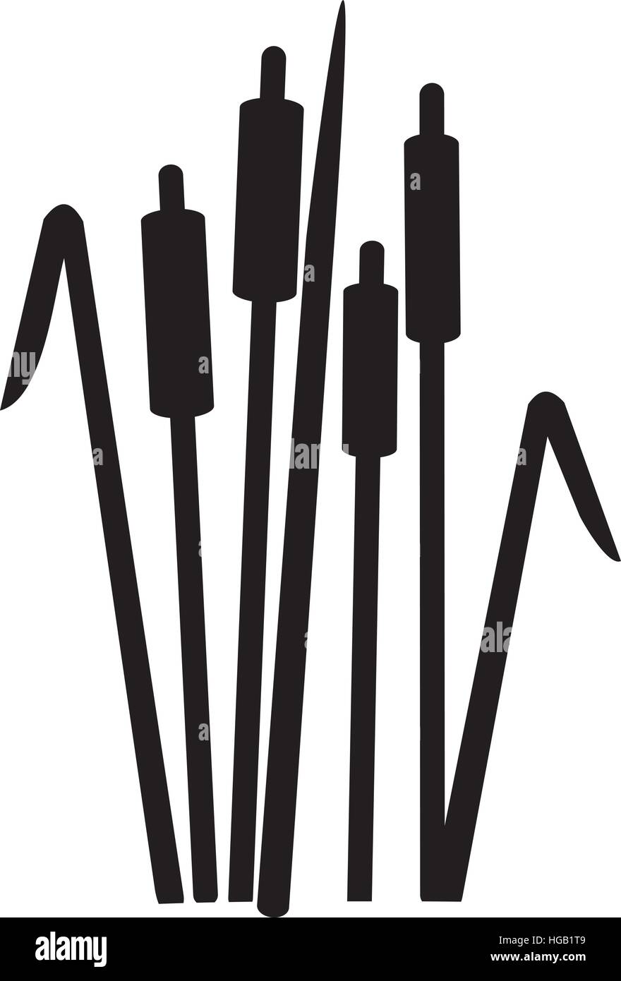 Reed icon hi-res stock photography and images - Alamy
