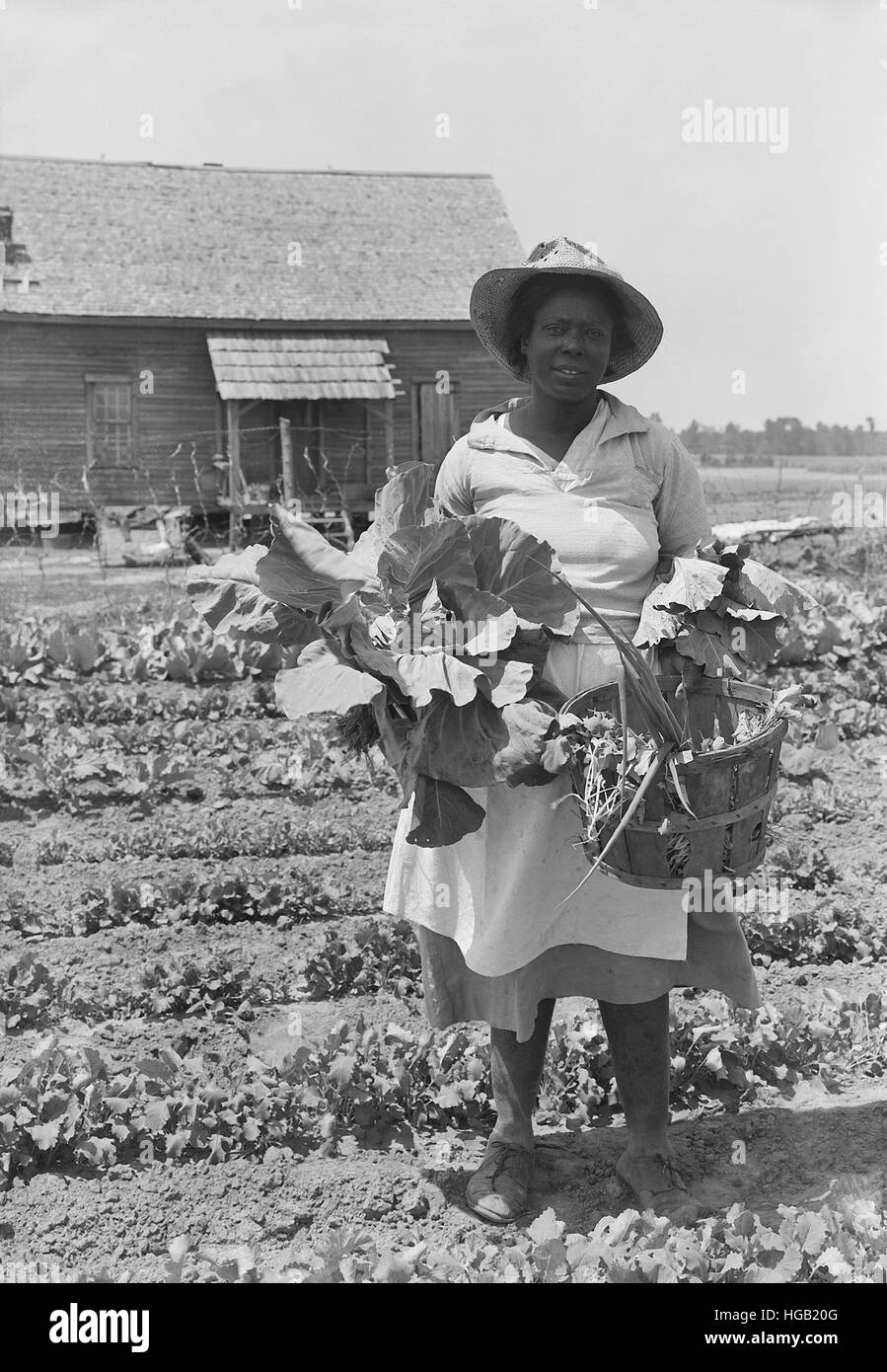 African Woman Farming High Resolution Stock Photography and Images - Alamy