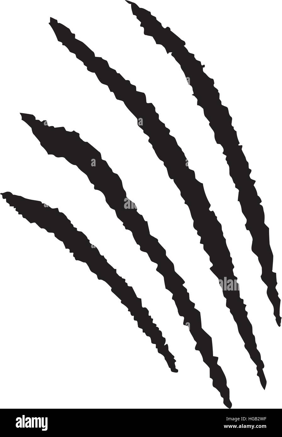 Claw scratch vector vectors hi-res stock photography and images - Alamy
