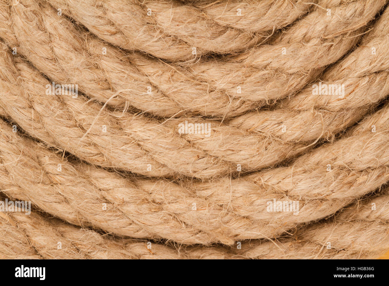 Natural spiral pattern hi-res stock photography and images - Alamy