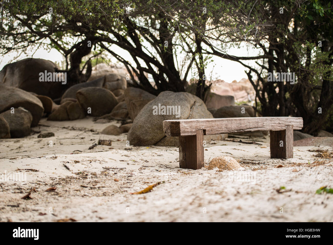 empty wooden bench at the beach Stock Photo - Alamy