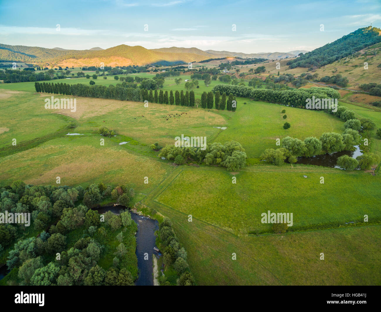 Aerial landscape of meadows and pastures of Mitta Mitta Valley near ...