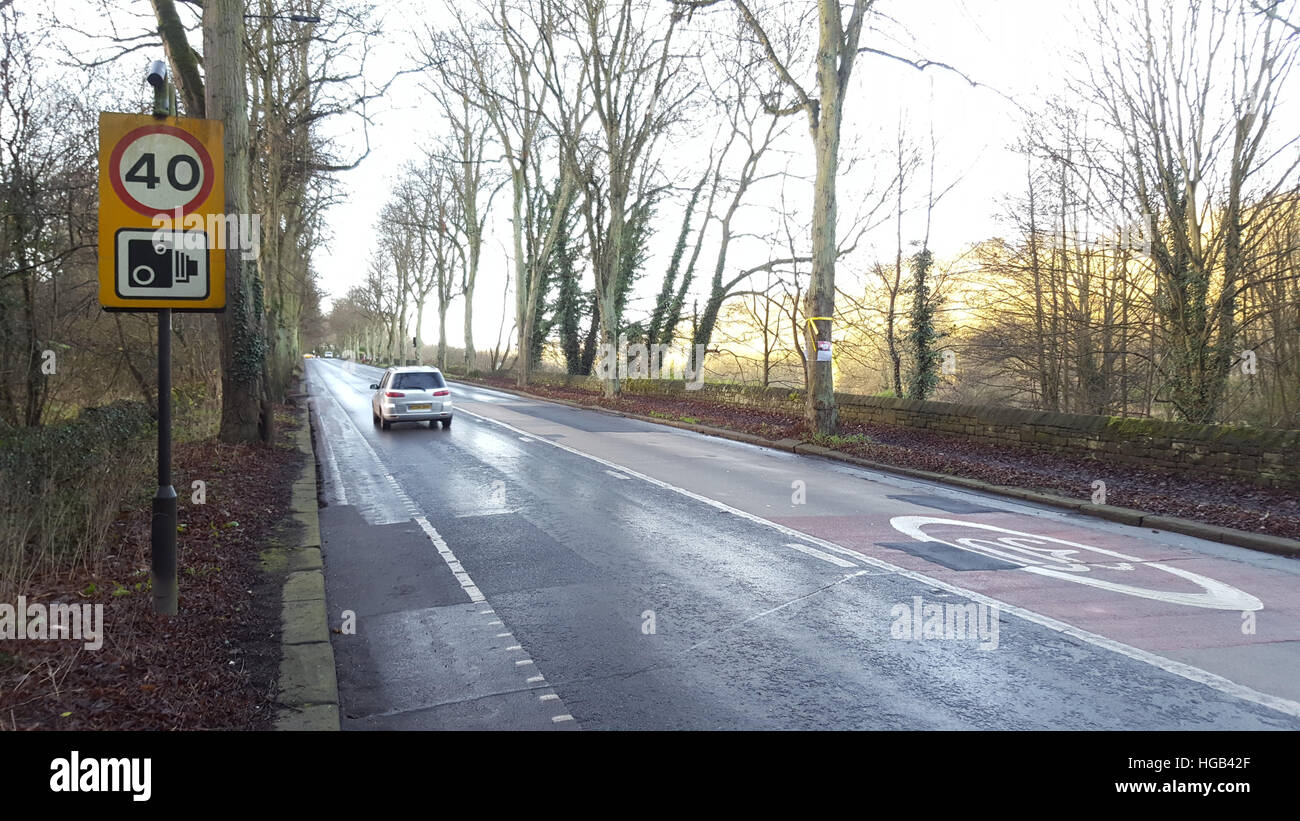 Trees along Rivelin Valley Road, the second longest avenue of limes in ...