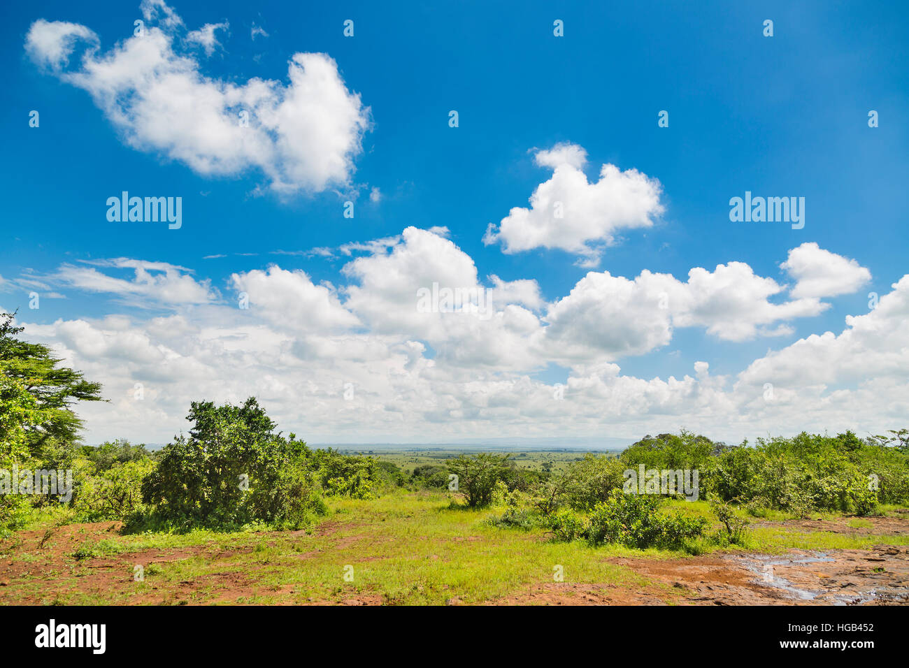 Kenya national park hi-res stock photography and images - Alamy