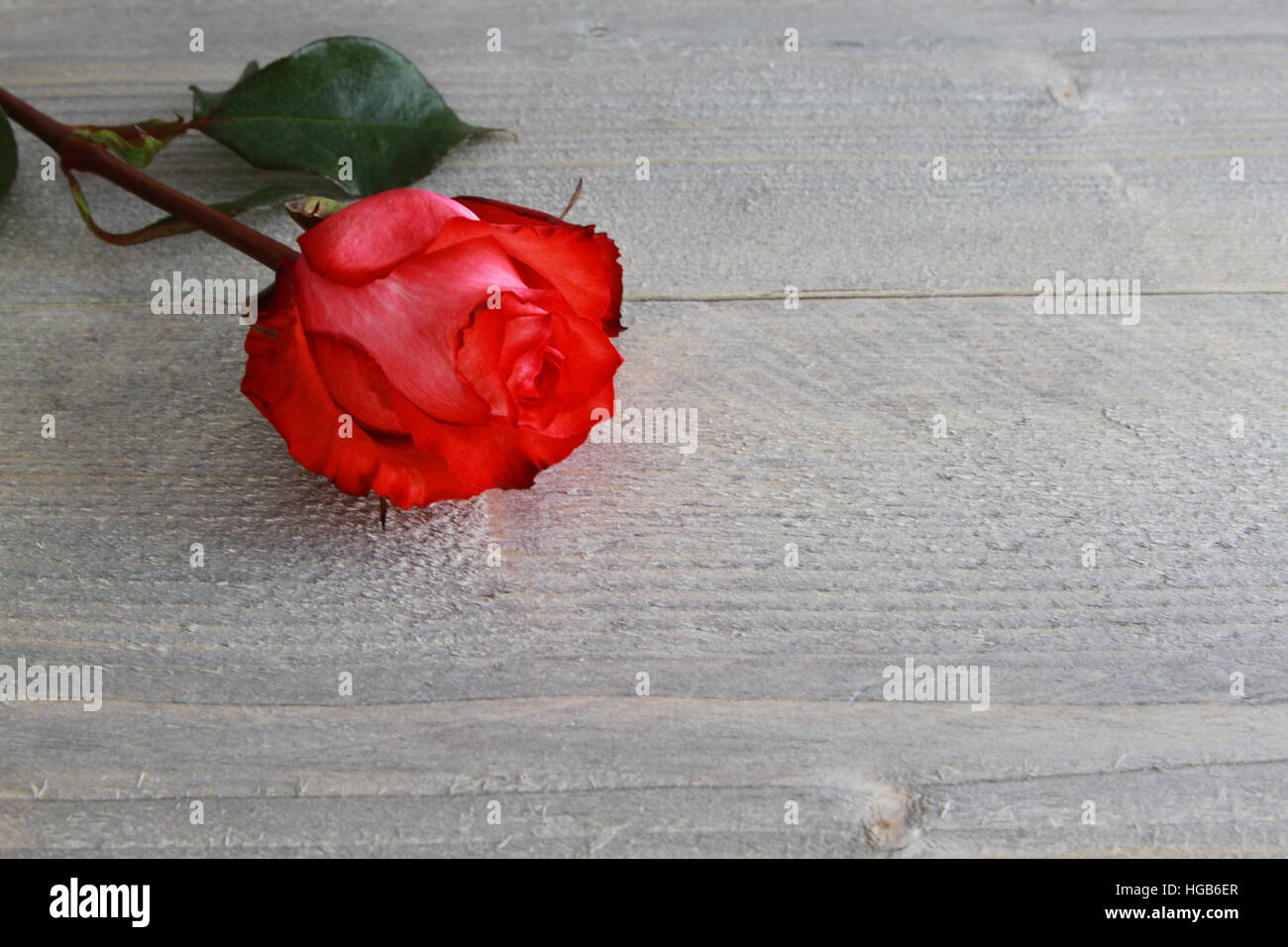 Red Rose with Stalk and Leaves on wood Background Stock Photo - Alamy