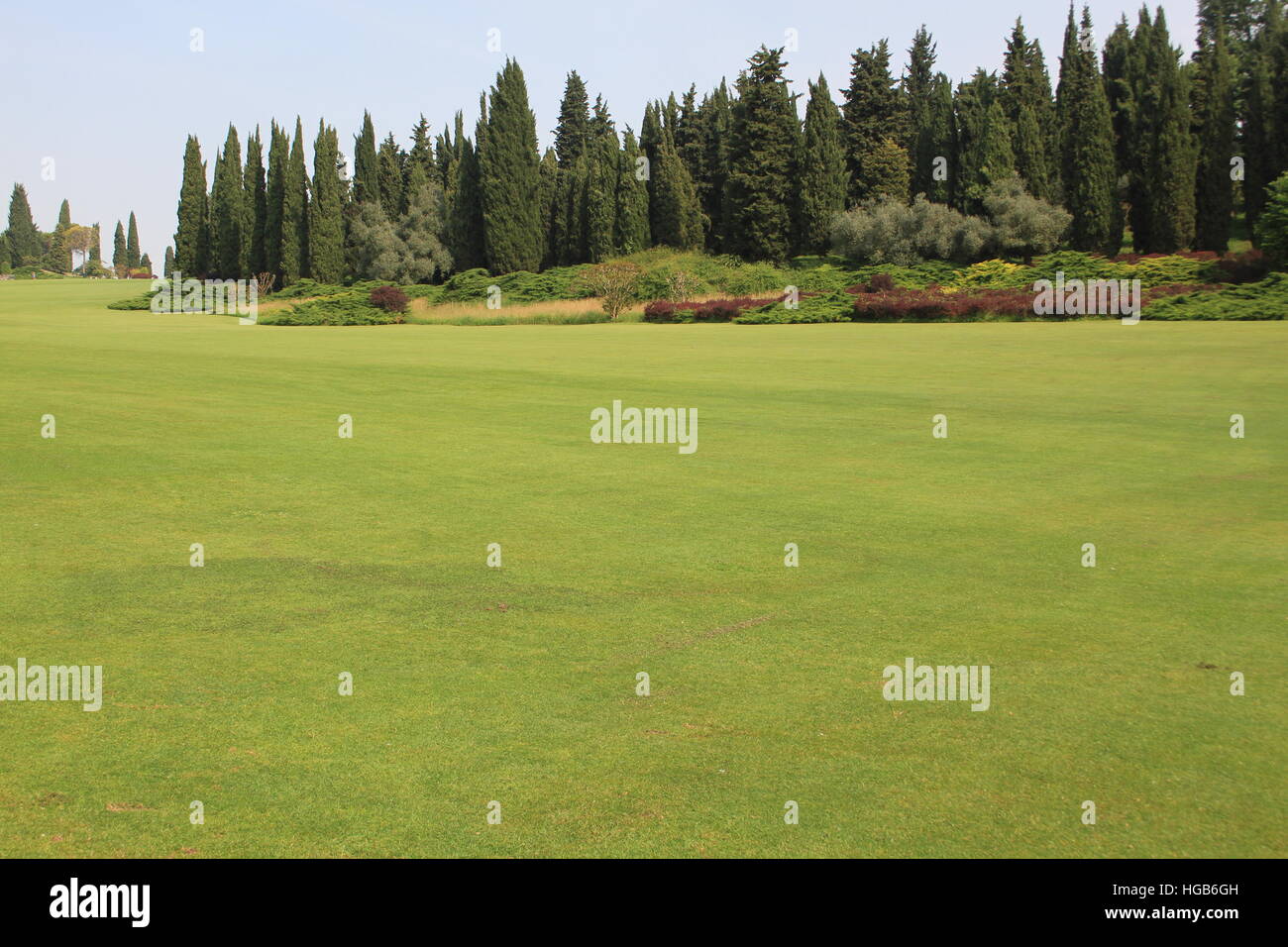 Italian trees hi-res stock photography and images - Alamy