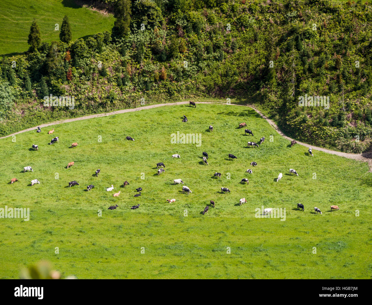 Sloped pasture hi-res stock photography and images - Alamy