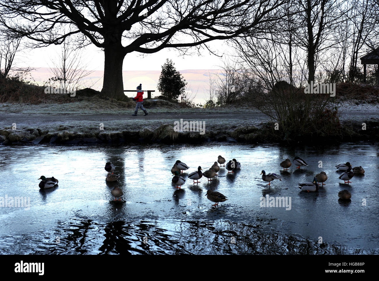 frozen duck pond moors kid walking Stock Photo - Alamy