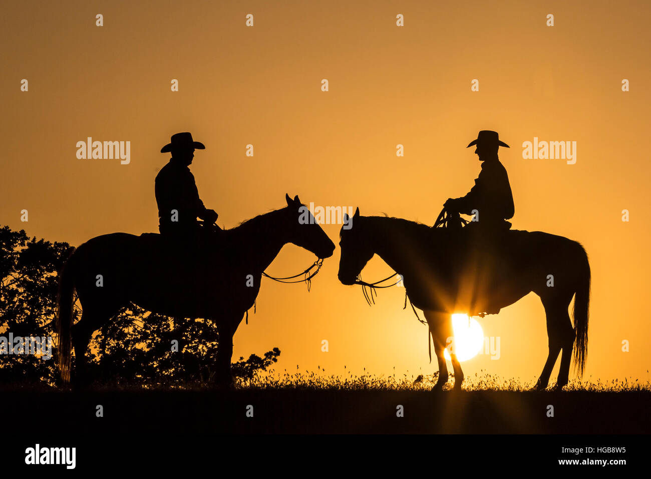 cowboys silhouetted on ridgetop at sunset on ranch Stock Photo - Alamy