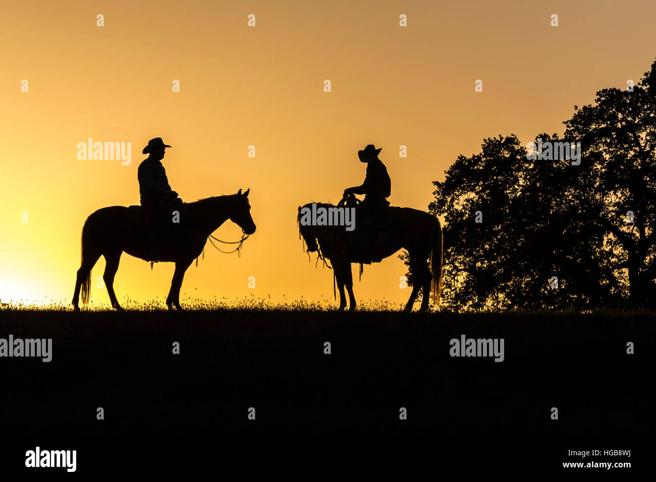 cowboys silhouetted on ridgetop at sunset on ranch Stock Photo - Alamy