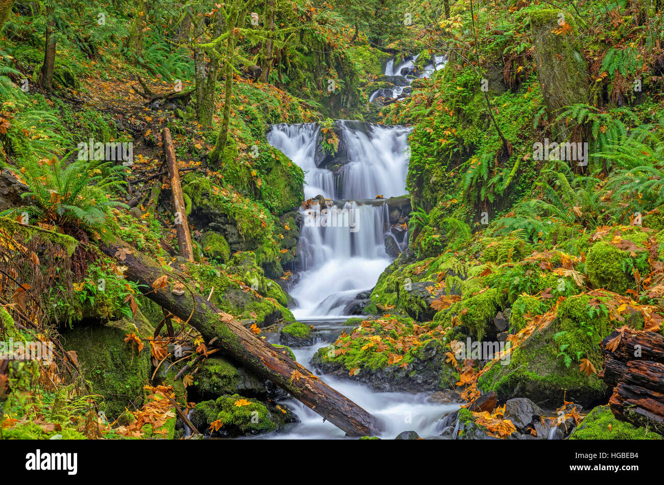 Emerald green flowing river hi-res stock photography and images - Alamy