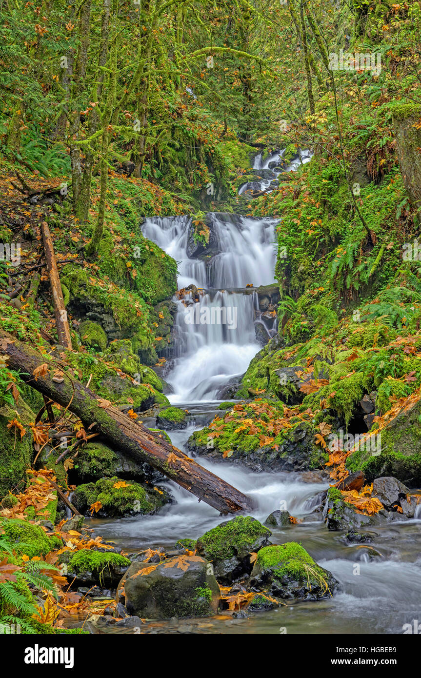 Emerald green flowing river hi-res stock photography and images - Alamy
