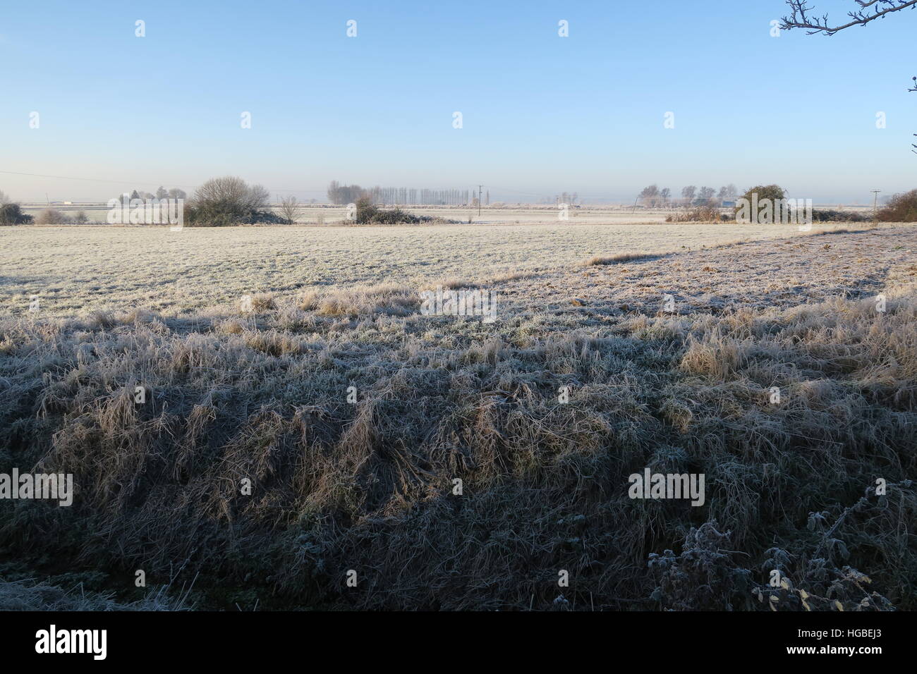 Frozen fallow field fens Stock Photo - Alamy