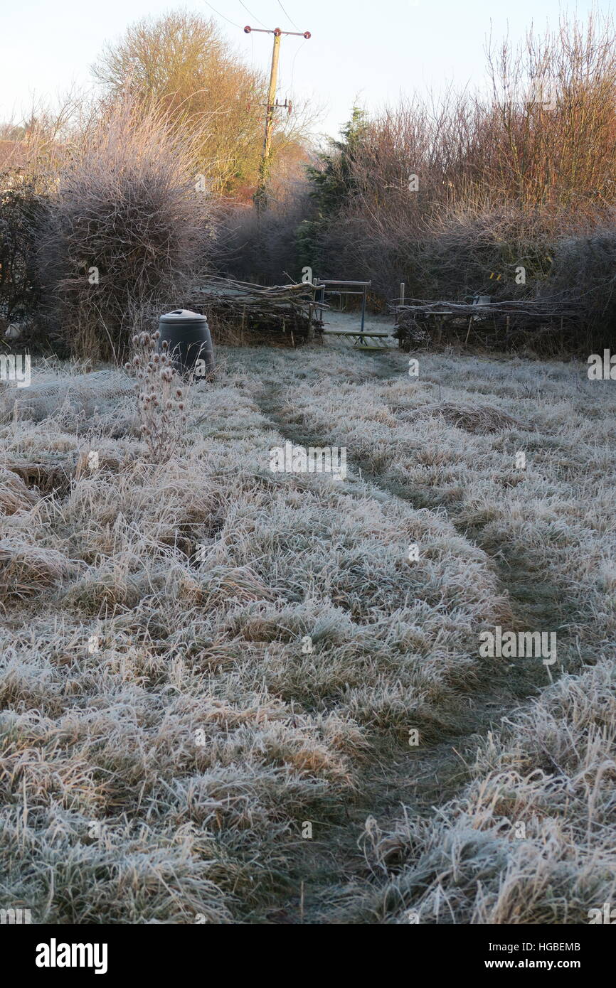Hardy gardener - frosty path Stock Photo - Alamy