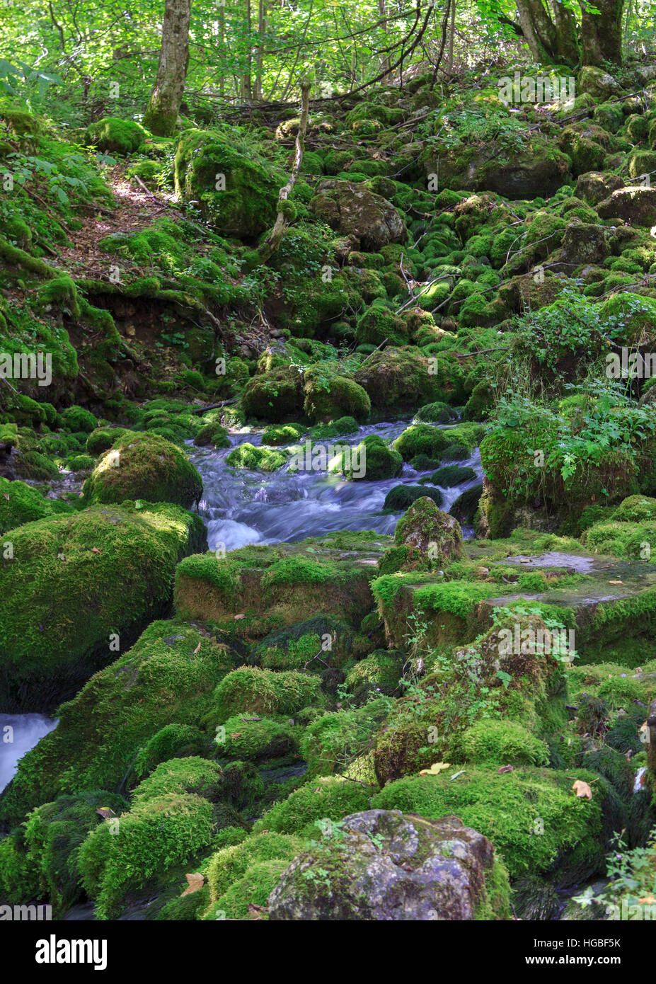 Cascade streams over moss hi-res stock photography and images - Alamy
