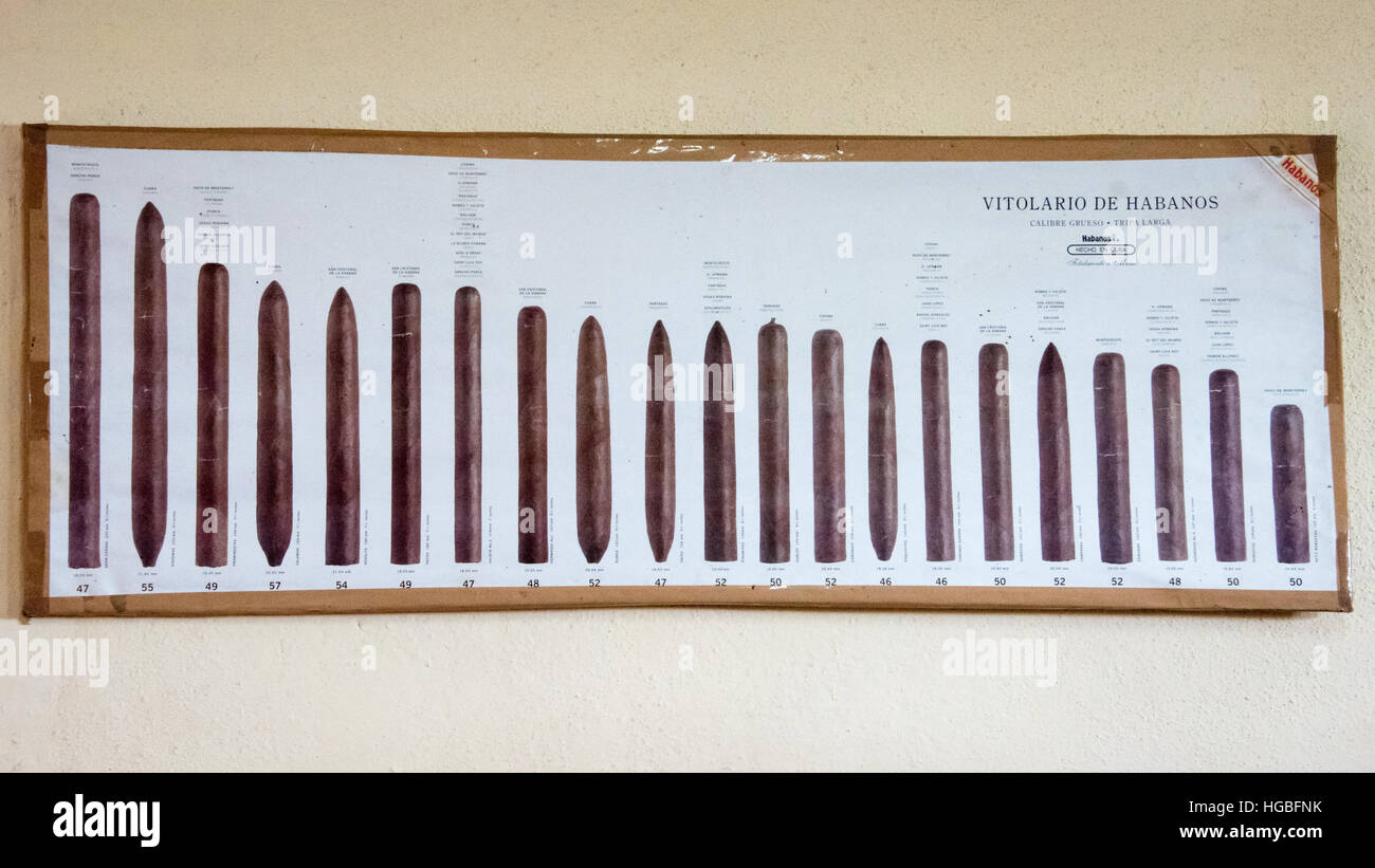 Picture of Cuban Cigars showing Sizes and Styles, Vinales, Cuba Stock ...