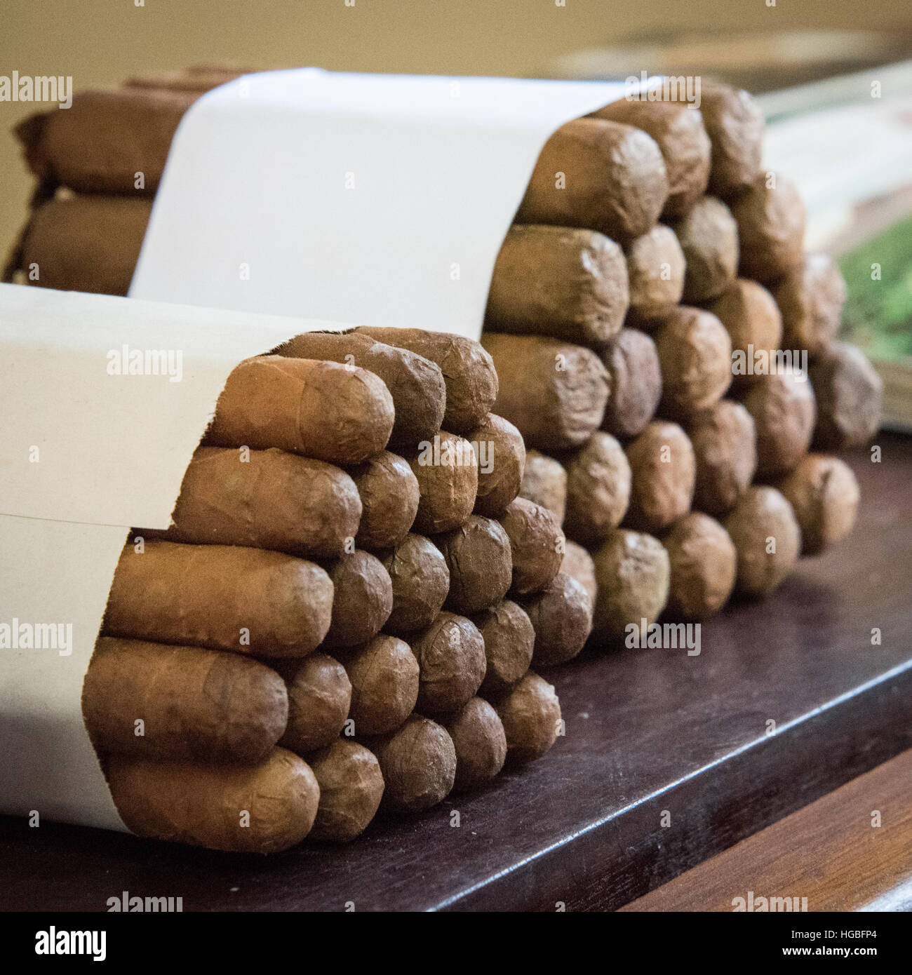 Bundle of Cuban Cigars, Vinales, Cuba Stock Photo - Alamy