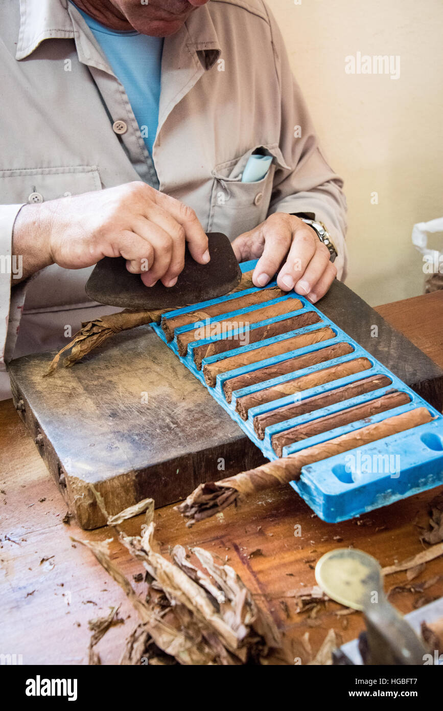 Cigar making hi-res stock photography and images - Alamy