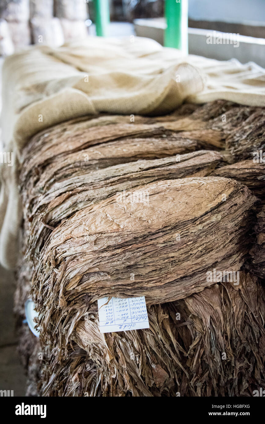 Bale of tobacco hi-res stock photography and images - Alamy