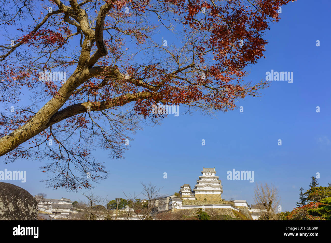Fall color and the white Heron castle - Himeji at Kobe, Japan Stock ...