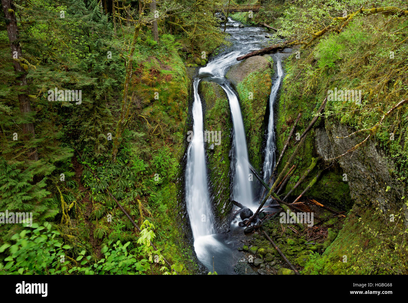 OR02201-00...OREGON - Triple Falls in the Columbia River Gorge National Scenic Area Stock Photo ...