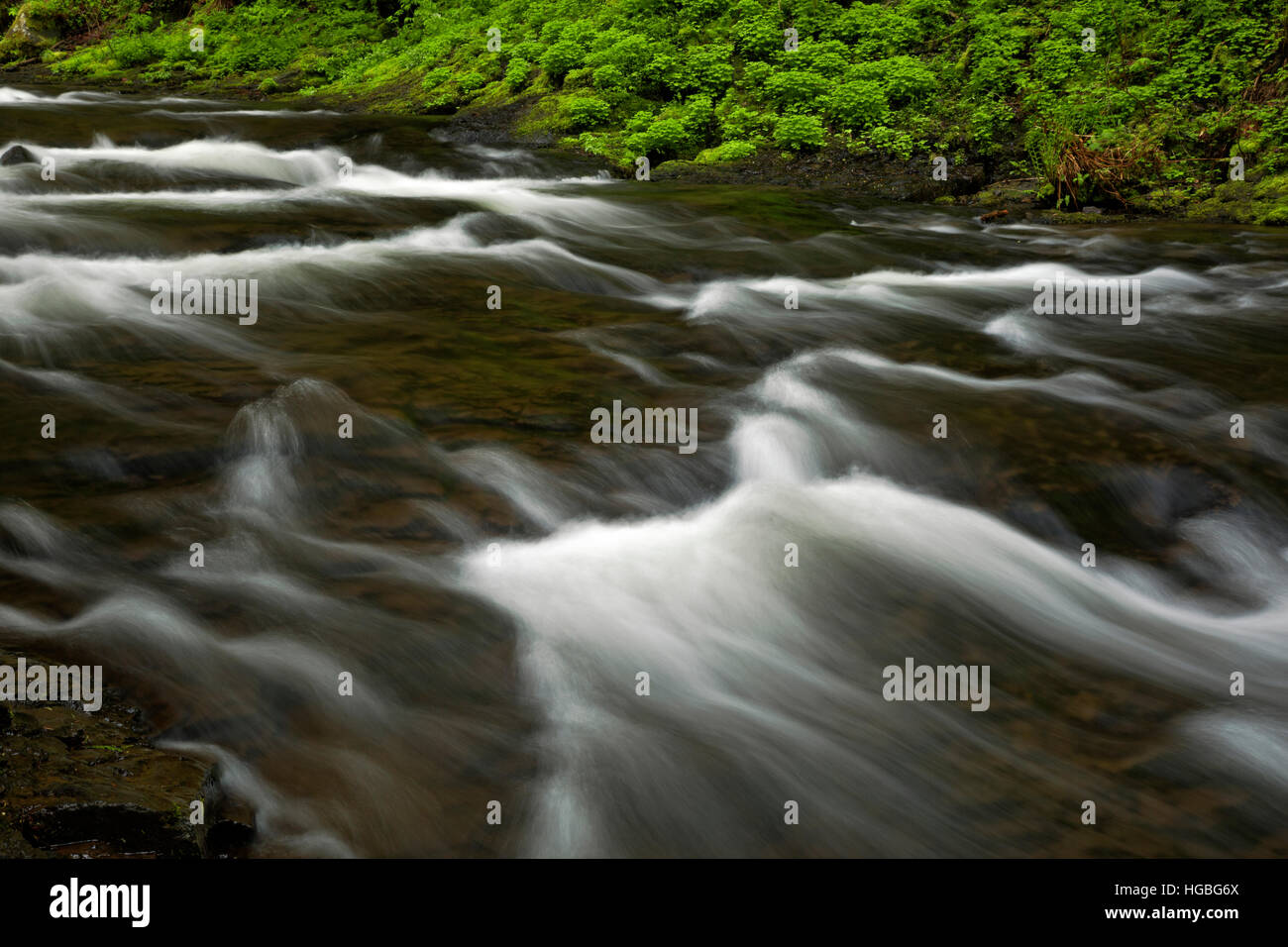 OREGON - Ripples in Multnomah Creek above the Multnomah Falls Overlook ...