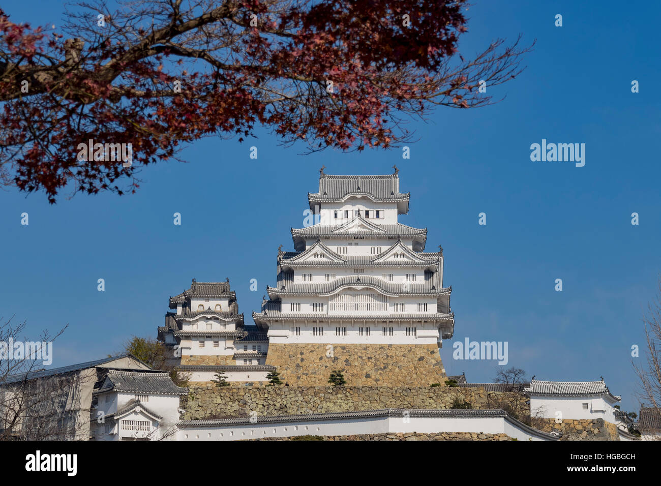Fall color and the white Heron castle - Himeji at Kobe, Japan Stock ...