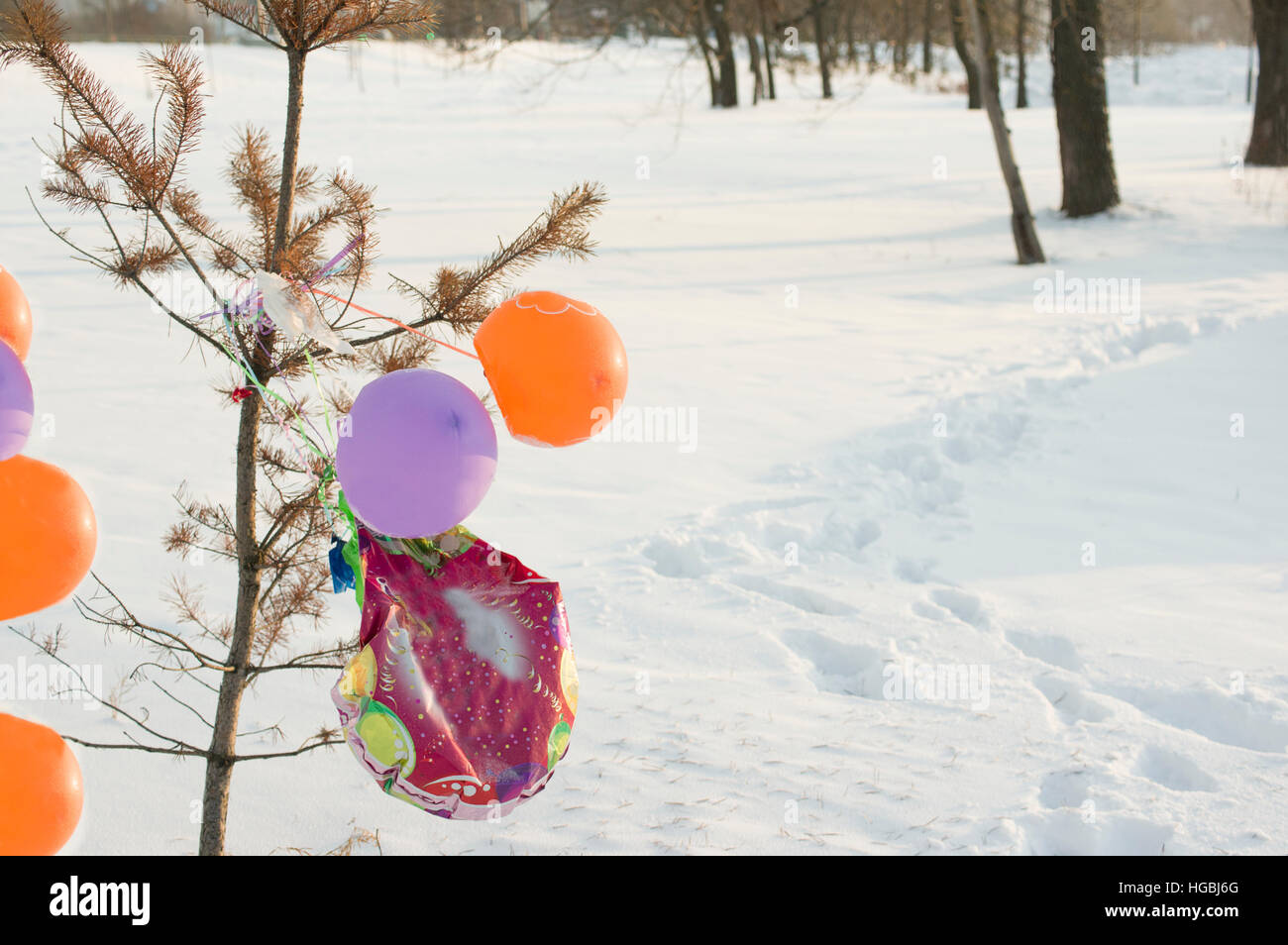Balloon stuck tree hi-res stock photography and images - Alamy