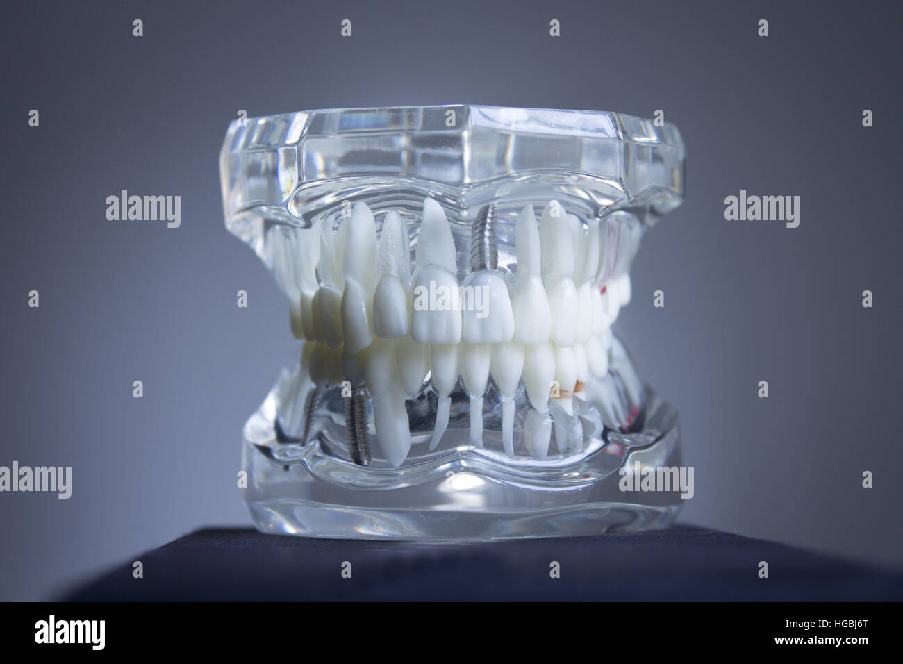 False teeth sample for dentists Stock Photo - Alamy