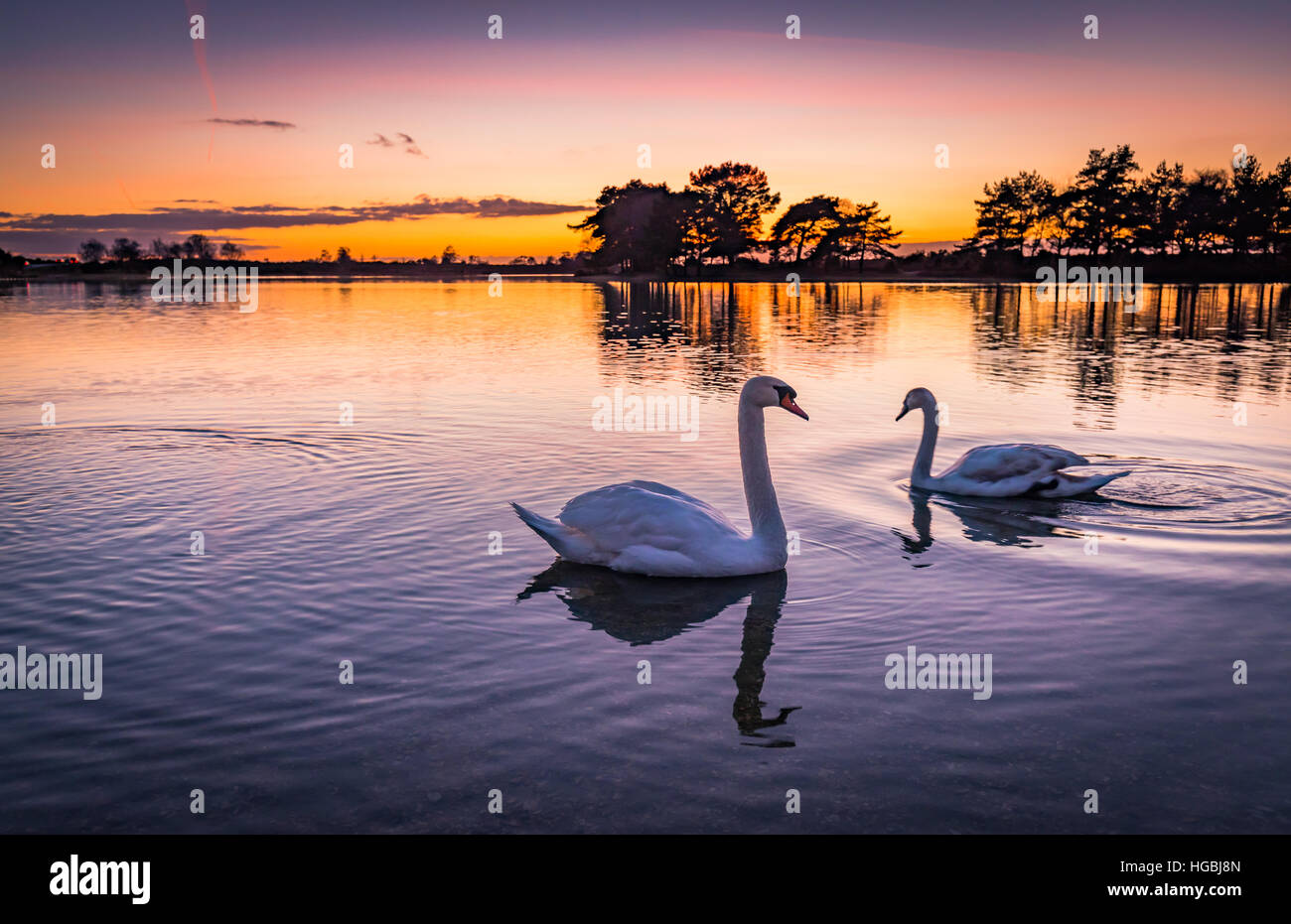 A New Forest sunset at Hatchet Pond Stock Photo - Alamy