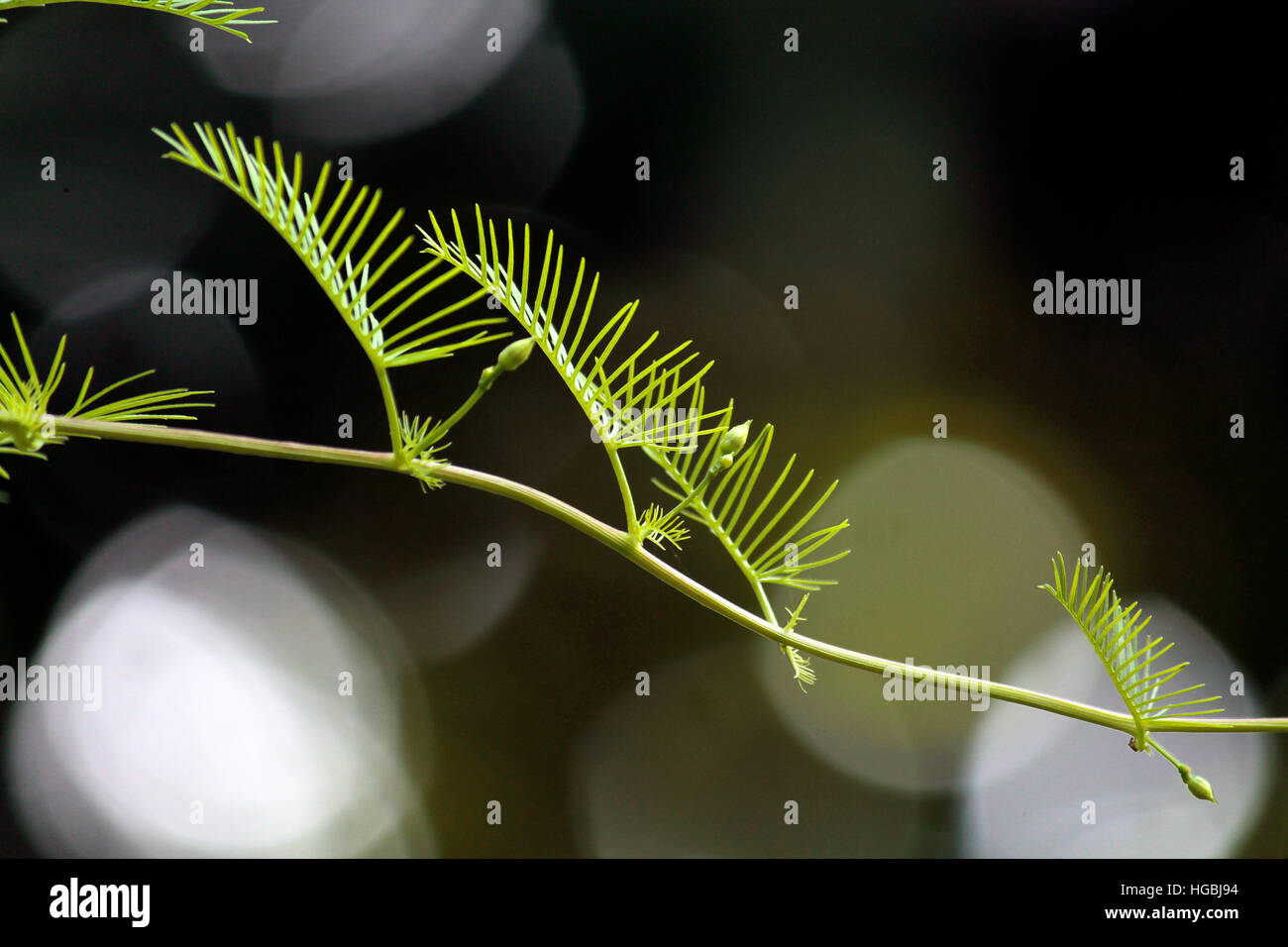 Canvas support hi-res stock photography and images - Alamy