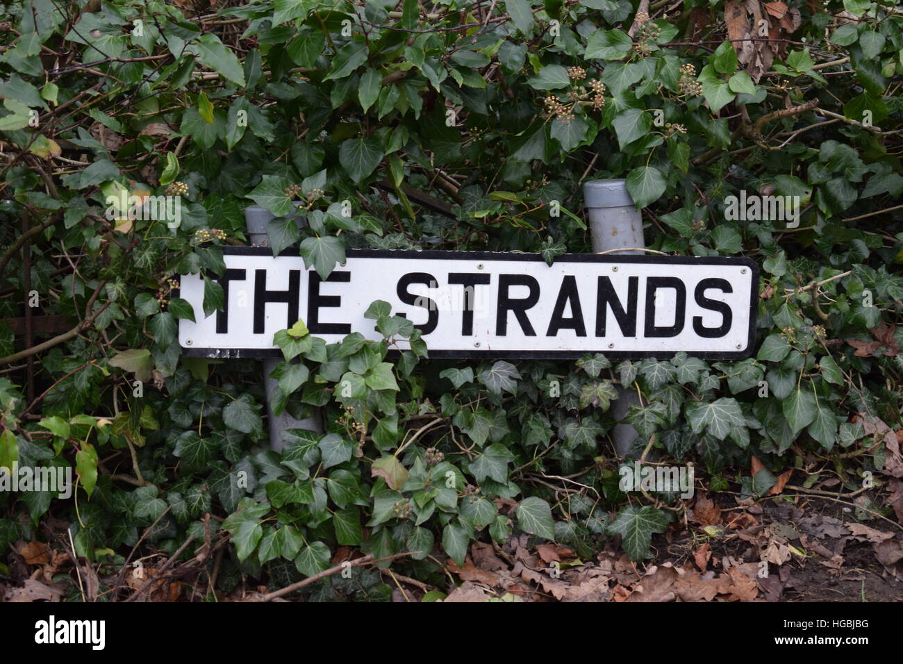 Over grown road sign Stock Photo - Alamy