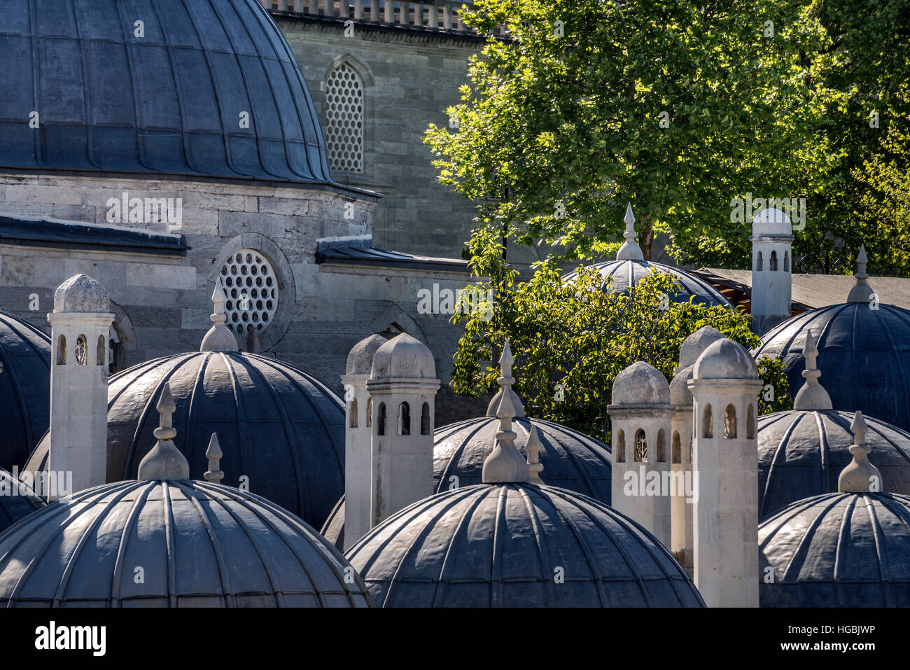 Cupolas and chimneys of Yenicami Mosque Istanbul Turkey Stock Photo - Alamy
