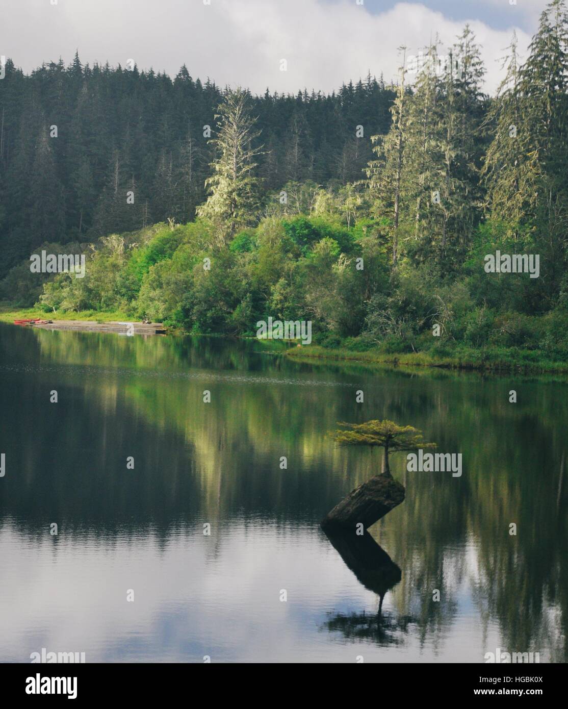 Reflections forest hi-res stock photography and images - Alamy