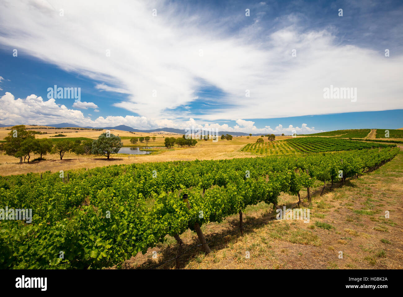Howqua Valley View Stock Photo - Alamy