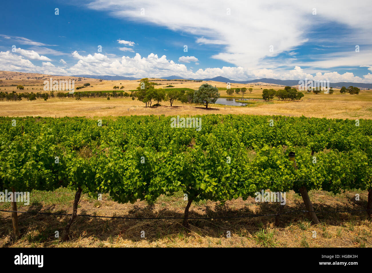 Howqua Valley View Stock Photo - Alamy