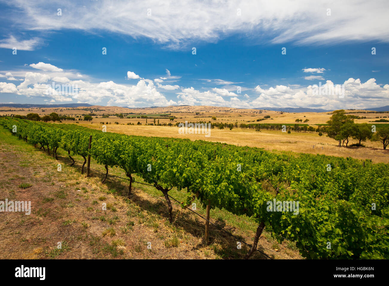 Howqua Valley View Stock Photo - Alamy