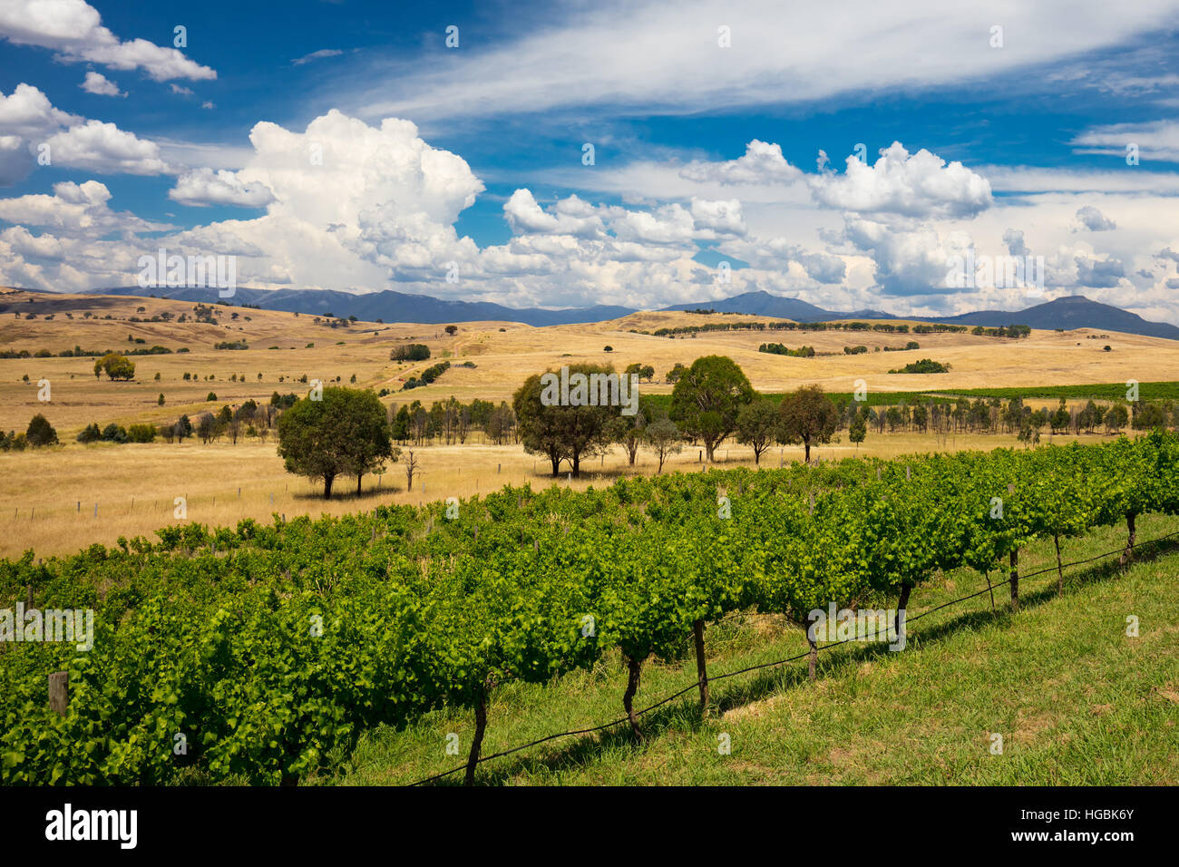 Howqua Valley View Stock Photo - Alamy
