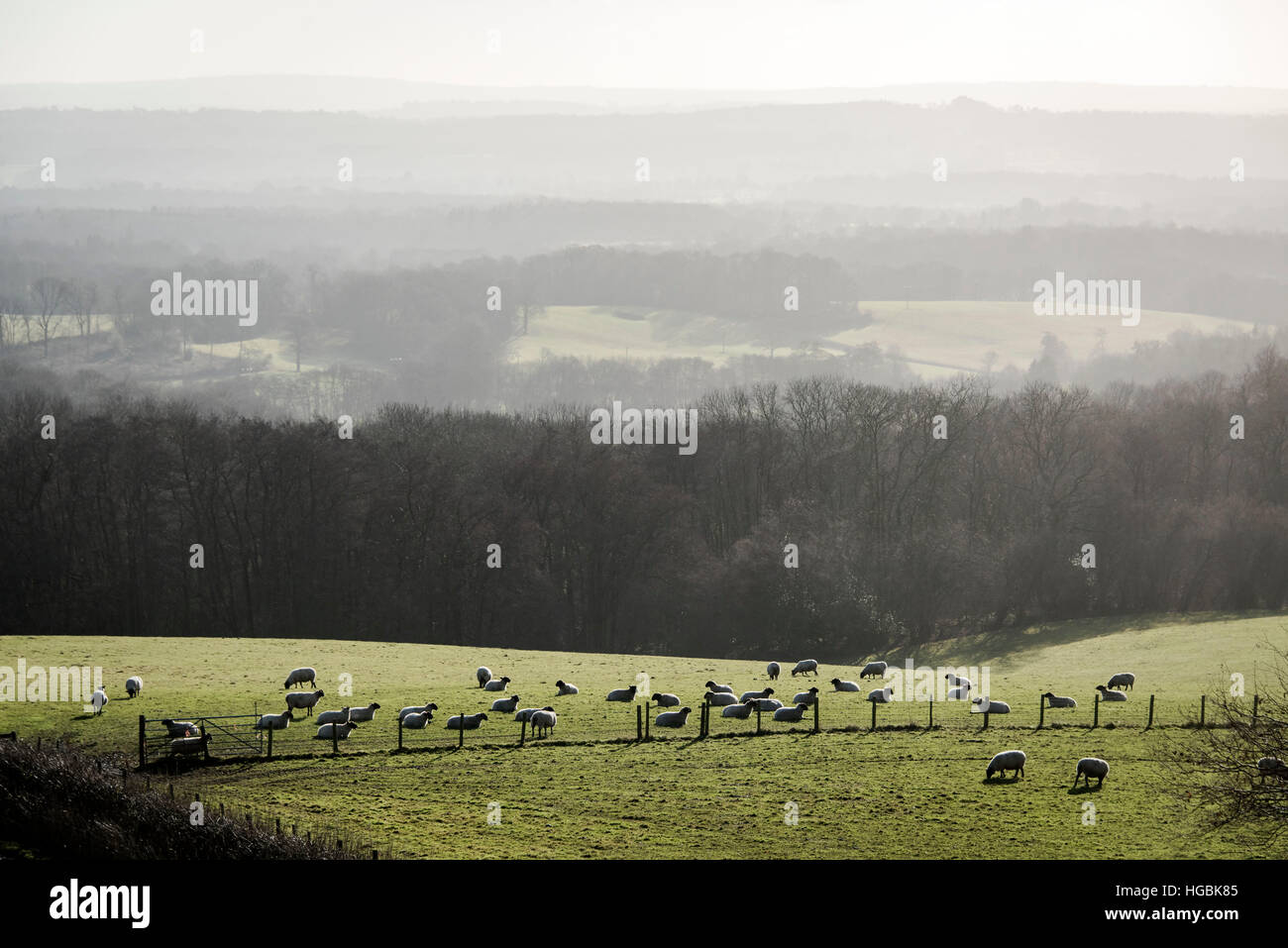 Farmland Kent England Stock Photo - Alamy
