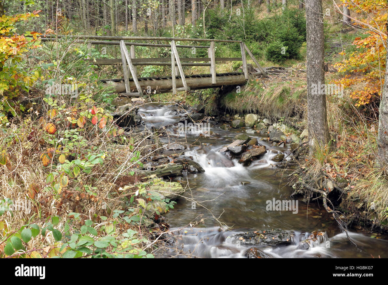 Brook creek hi-res stock photography and images - Alamy