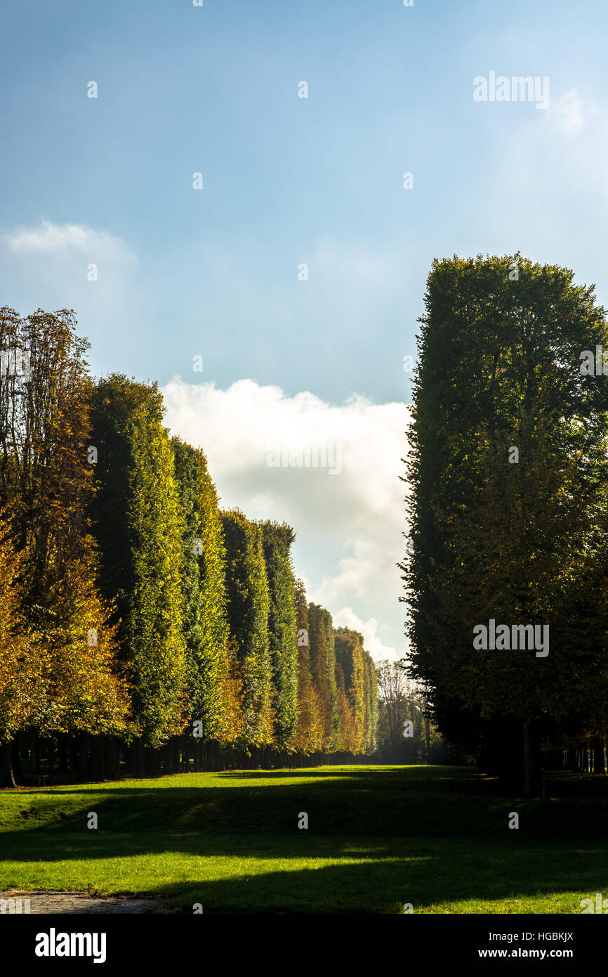 Pines and cypresses lining a landscaped promenade with Autumn colors ...