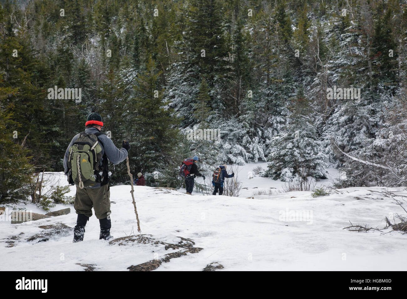 Hikers on Davis Path, near Mount Crawford, in Hadley's Purchase, New ...