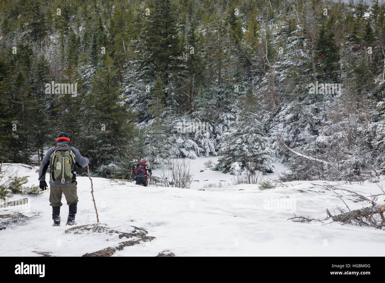 Hikers on Davis Path, near Mount Crawford, in Hadley's Purchase, New ...